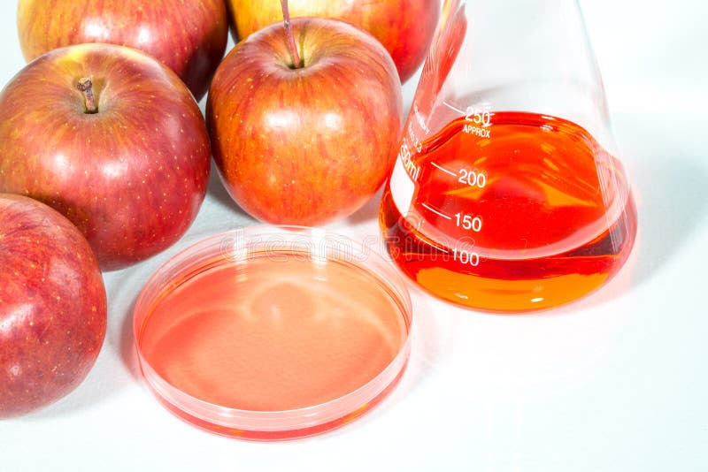 Vegetable Test, Genetic Modification,apple Stock Photo - Image of ...