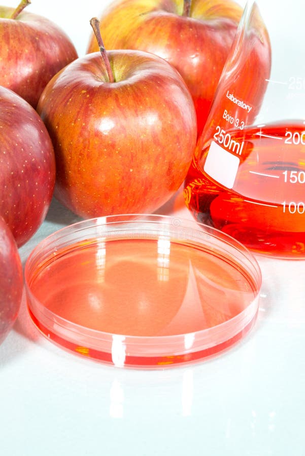 Vegetable Test, Genetic Modification,apple Stock Photo - Image of ...