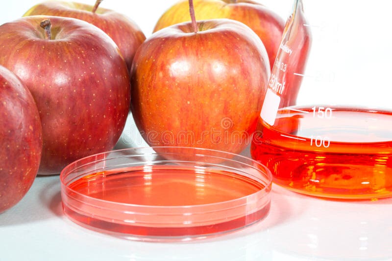 Vegetable Test, Genetic Modification,apple Stock Image - Image of ...
