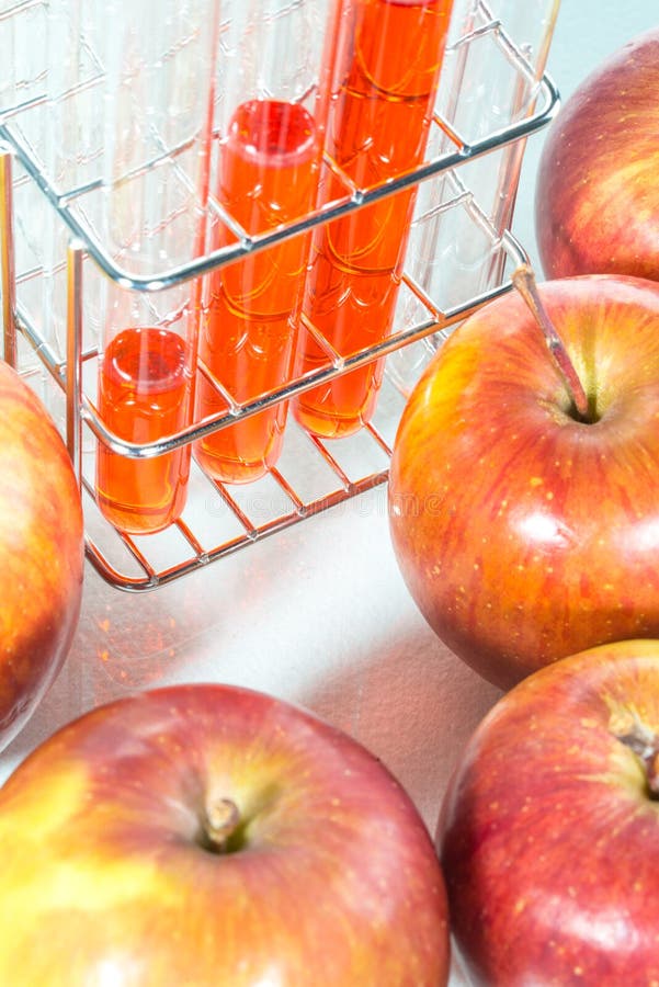Vegetable Test, Genetic Modification,apple Stock Photo - Image of food ...