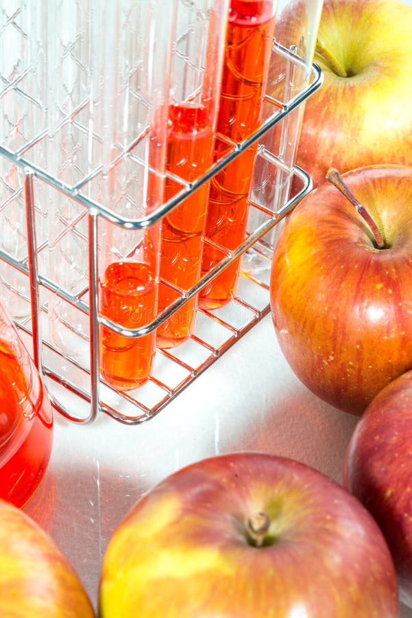 Vegetable Test, Genetic Modification, Tomato Stock Photo - Image of ...