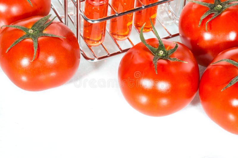 Vegetable Test, Genetic Modification, Tomato Stock Image - Image of ...