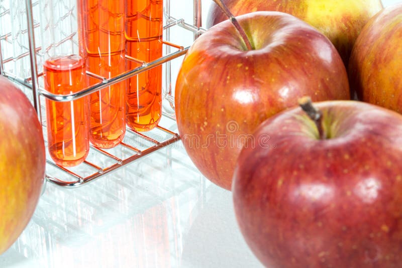 Vegetable Test, Genetic Modification, Tomato Stock Image - Image of ...