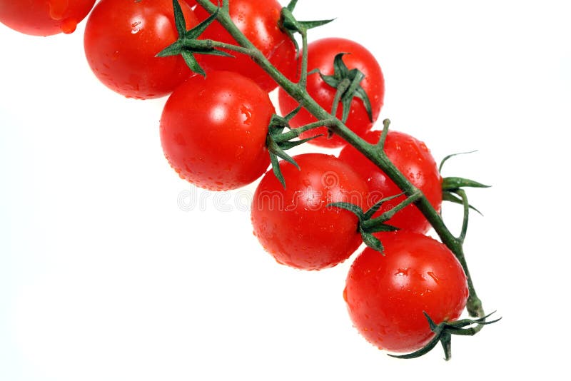 Vegetable Tomatoes with Water Drops Stock Image - Image of healthy ...