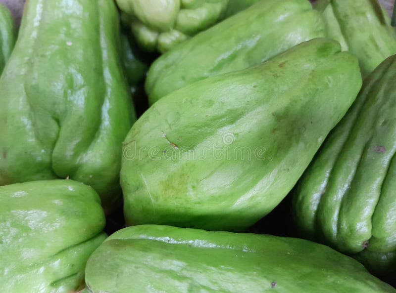Medium-sized Chayote on Display at a Traditional Market. Stock Image ...