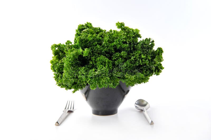 Eco vegetable in vase. stock image. Image of crops, house - 104902295