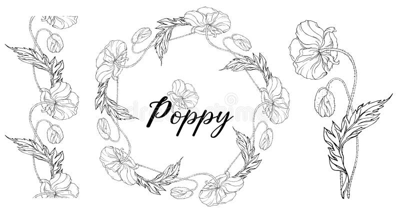Vegetable Vector Set of Flower of Poppy. Round Frame. Poppy Flowers ...