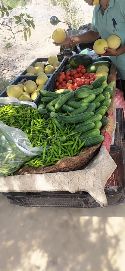 Vegetable Vendor Selling Vegetables on Vending Cart Stock Image - Image ...