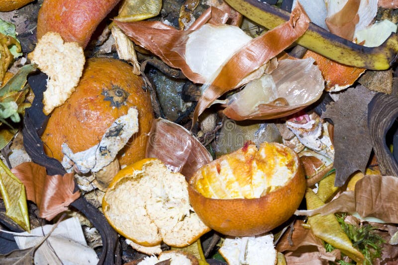 Vegetable waste stock image. Image of rubbish, natural - 8205439