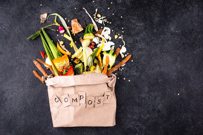 Vegetable Waste for Making Compost. Zero Waste Concept Stock Image ...