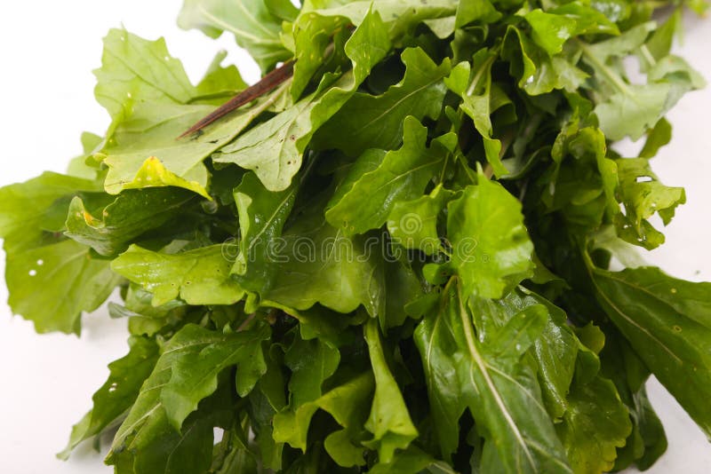 Vegetable watercress stock photo. Image of leaves, garden - 106565034