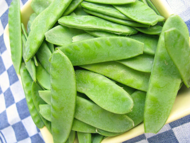 Vegetables stock photo. Image of cultivate, podded, health - 12950608