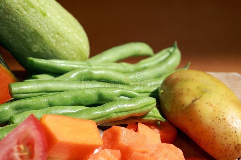 Young grapevine stock photo. Image of fruit, grow, green - 1842162