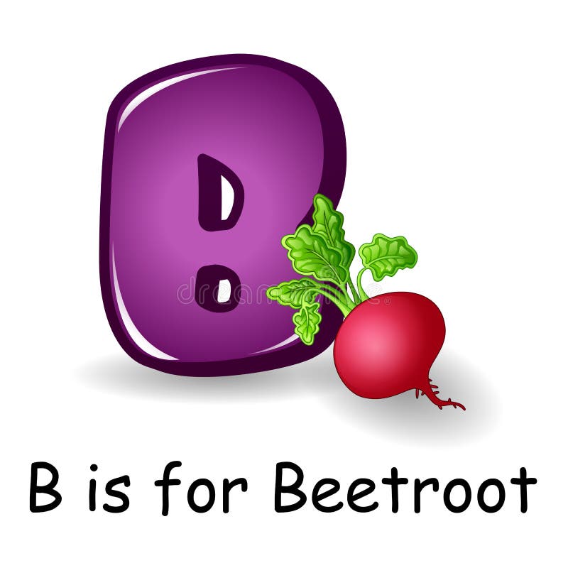 Vegetables Alphabet: B is for Beetroot Stock Vector - Illustration of ...