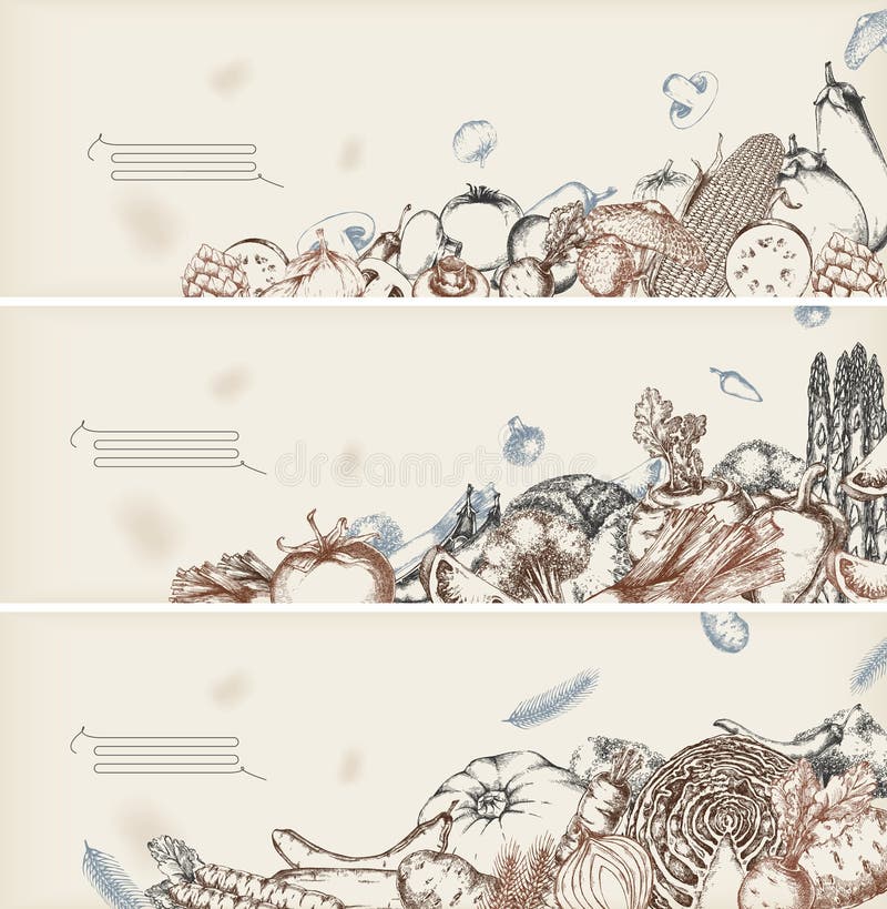 Food banner or header stock illustration. Illustration of ingredients ...