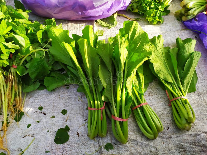 Vegetables at Barabai Traditional Market Stock Image - Image of market ...