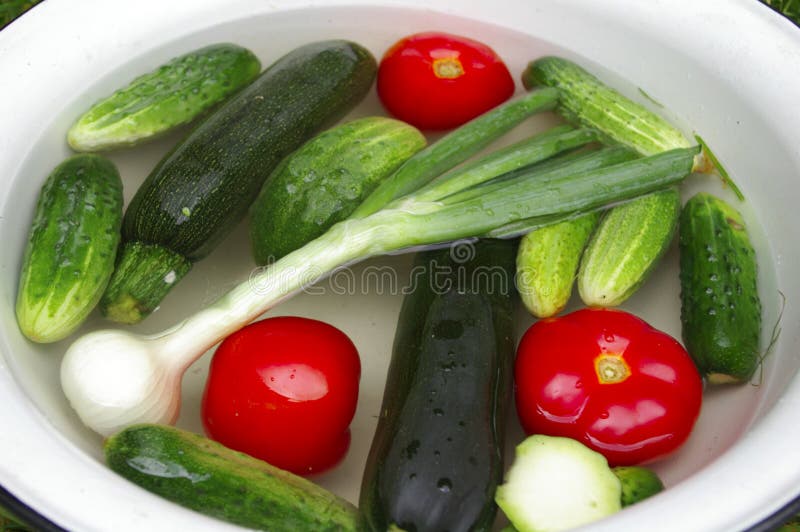 Vegetables in the Basin: Tomatoes, Cucumbers, Onion Stock Image - Image ...