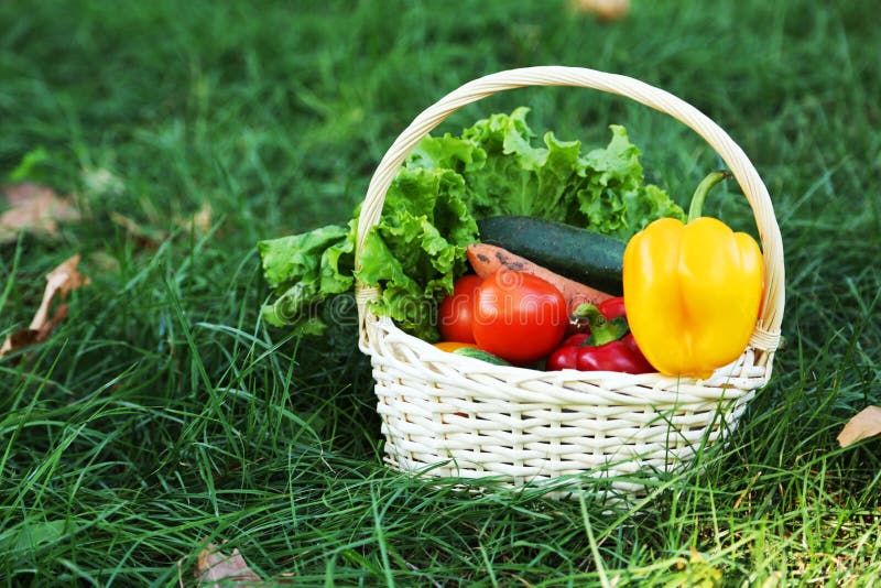 Vegetables in Basket on Green Grass. Stock Image - Image of grass ...