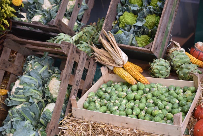 Vegetables in Baskets - Maize, Cauliflower in Fruit Boxes Stock Photo ...