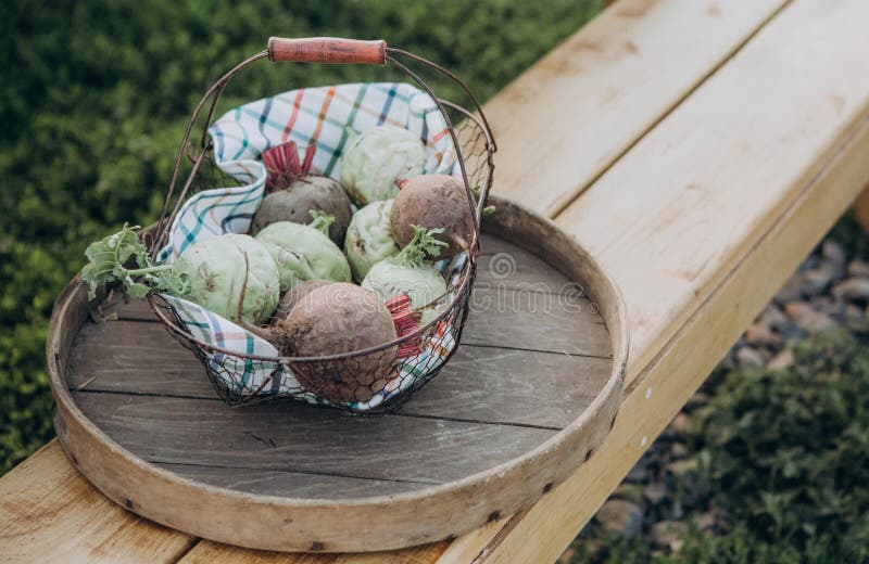 Vegetables of Beet Cabbage Basket Style Rustic Stock Image - Image of ...