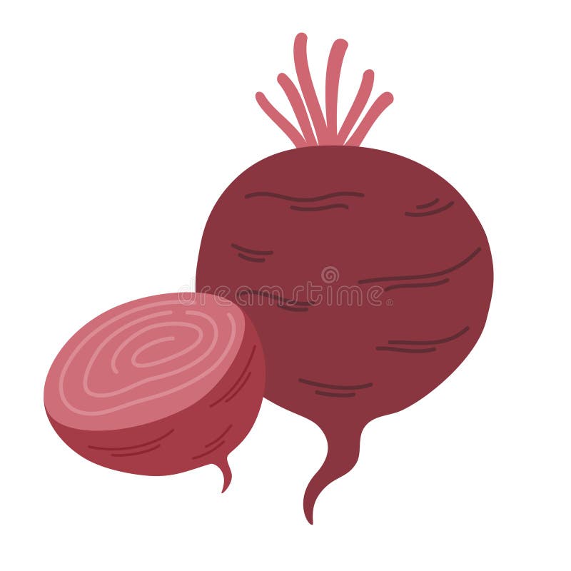 Red Table Sugar Beet Composition. Whole Fresh Beetroot and Its Cut ...