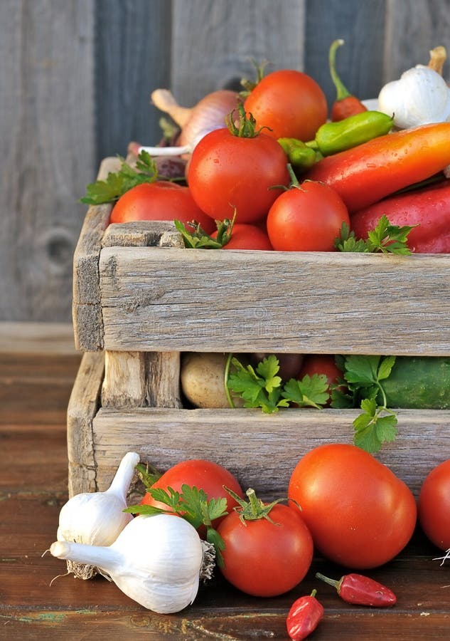 Vegetables in box stock photo. Image of garlic, table - 20957628
