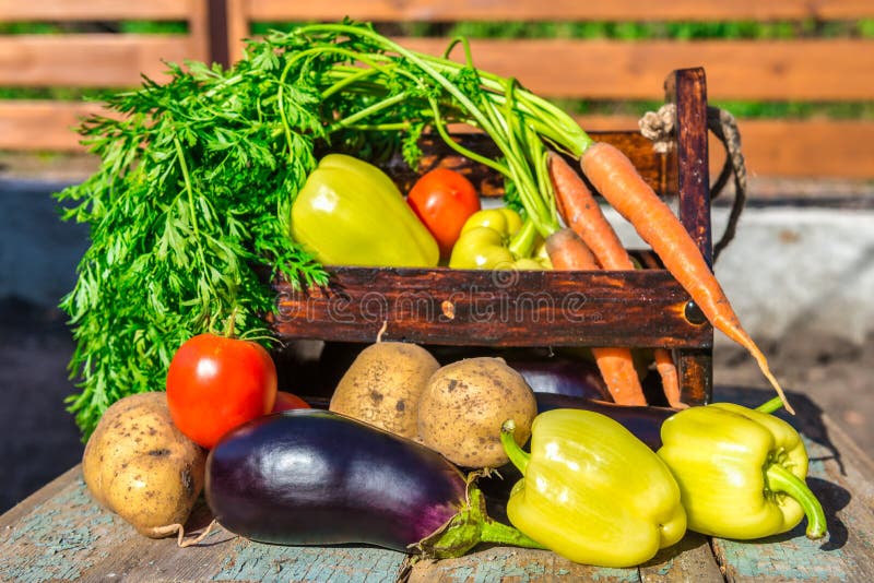 Vegetables in box stock photo. Image of healthy, eggplant - 195045760