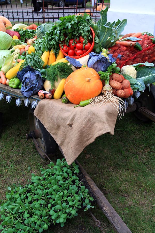 Vegetables in cart stock image. Image of harvest, fortified - 12712081