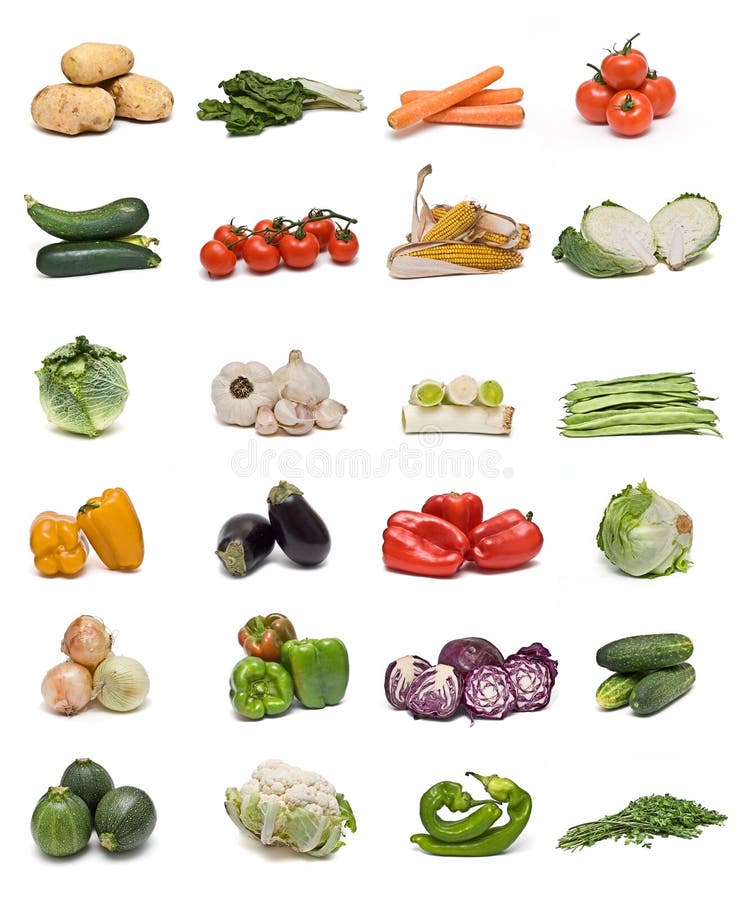 Vegetables collection stock photo. Image of garlic, squash - 5153166