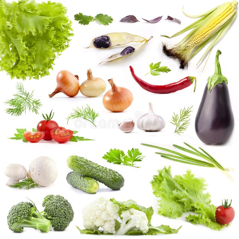 Vegetables collection stock image. Image of brightly - 22548259