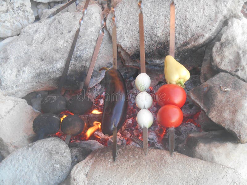 Cook at the stake stock photo. Image of food, picnic - 160278376