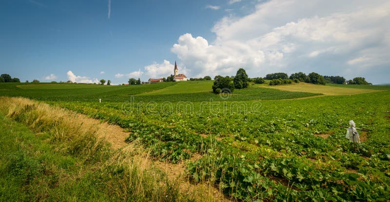 205 Basil Map Stock Photos - Free & Royalty-Free Stock Photos from ...