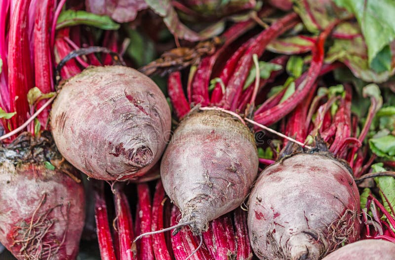 Beetroots and Turnip on Blackboard Stock Photo - Image of vitamin ...