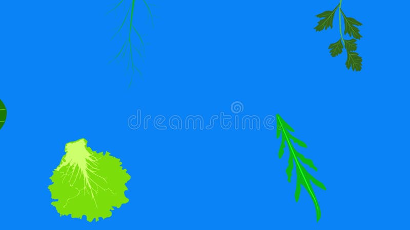 Vegetables Elements Animation Chroma Key Background Removable, Seamless ...