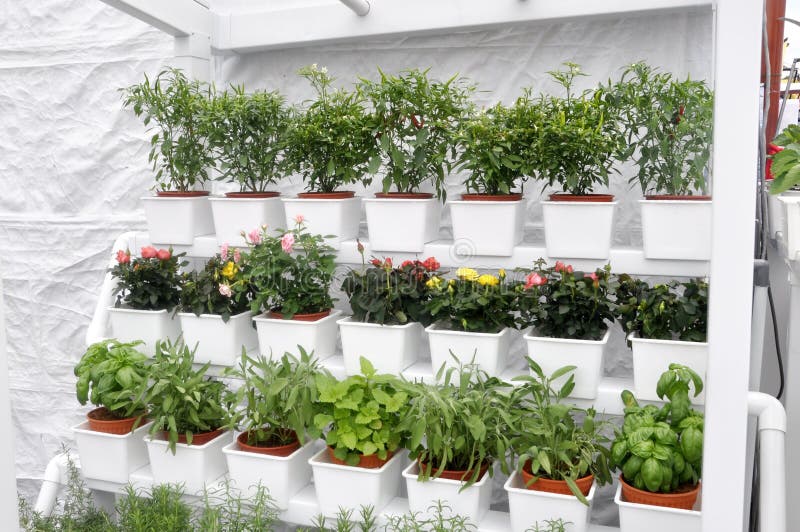 Vegetables and Flowers in the Plant Nursery Planted Using a Multi ...