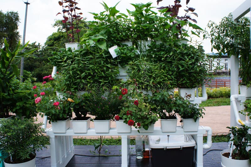 Vegetables and Flowers in the Plant Nursery Planted Using a Multi ...