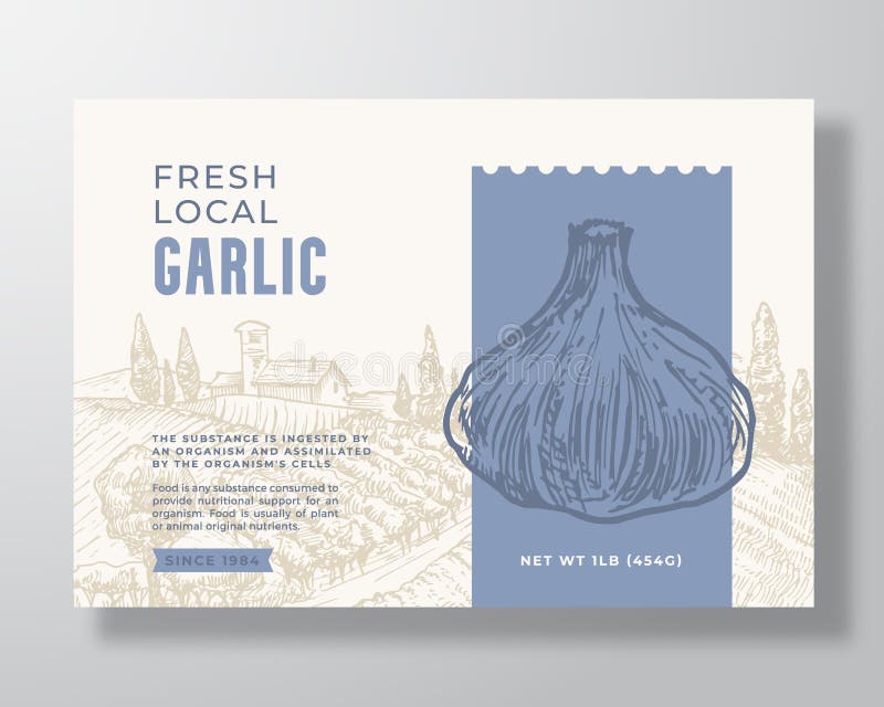 Garlic Label Template. Abstract Vector Packaging Design Layout Stock ...