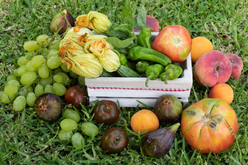 Vegetables on the grass stock photo. Image of farm, color - 32596146