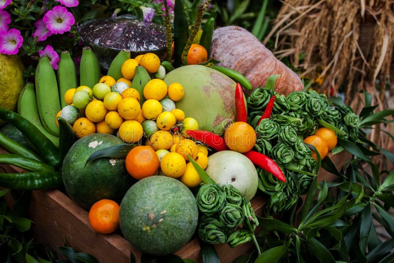 Vegetables and fruits stock photo. Image of natural, isolated - 36937568