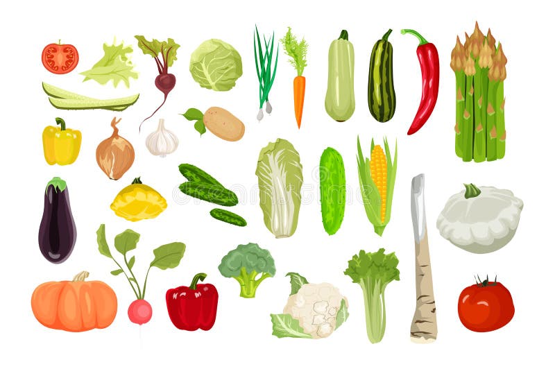 Vegetables from the garden stock vector. Illustration of food - 179199080