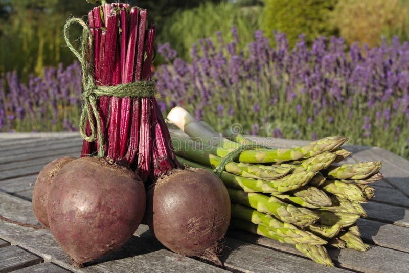 Vegetables on garden table stock photo. Image of vegetables - 21879984