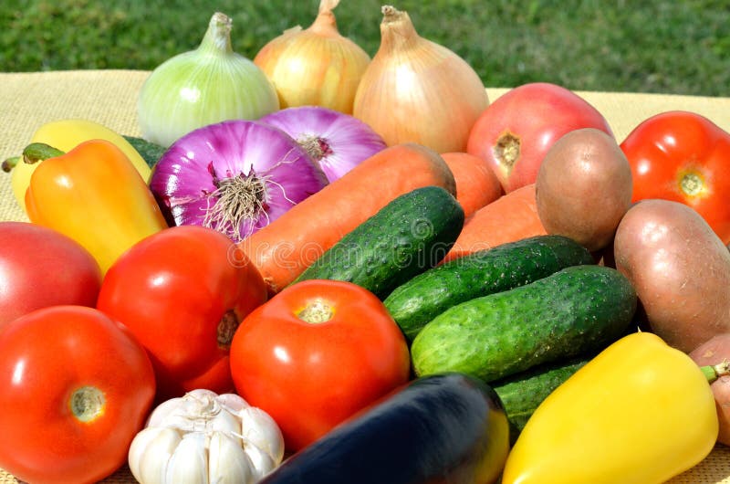 Vegetables on grass stock photo. Image of health, leaf - 86521440