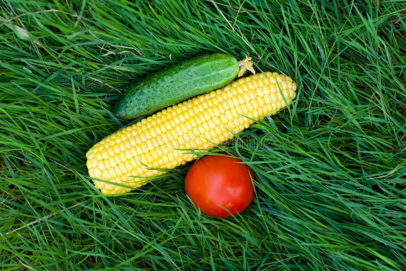 Vegetables on the grass stock photo. Image of outdoors - 32596146
