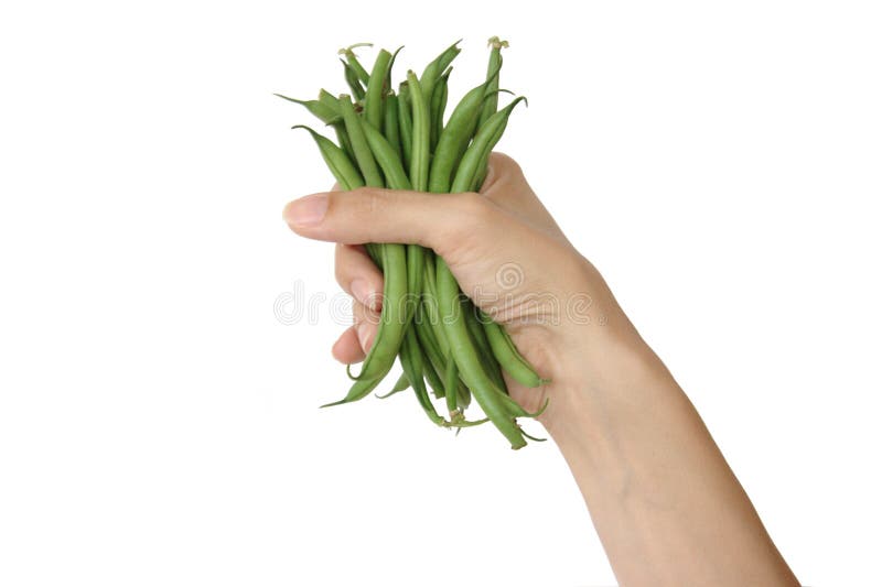 Vegetables: Green beans stock photo. Image of cropped - 32619160