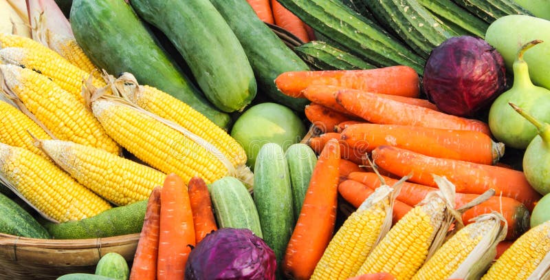 Vegetables group stock photo. Image of fresh, diet, food - 29915596