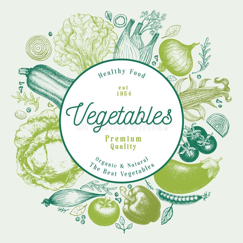 Vegetables Hand Drawn Vector Illustration. Retro Engraved Style Frame ...