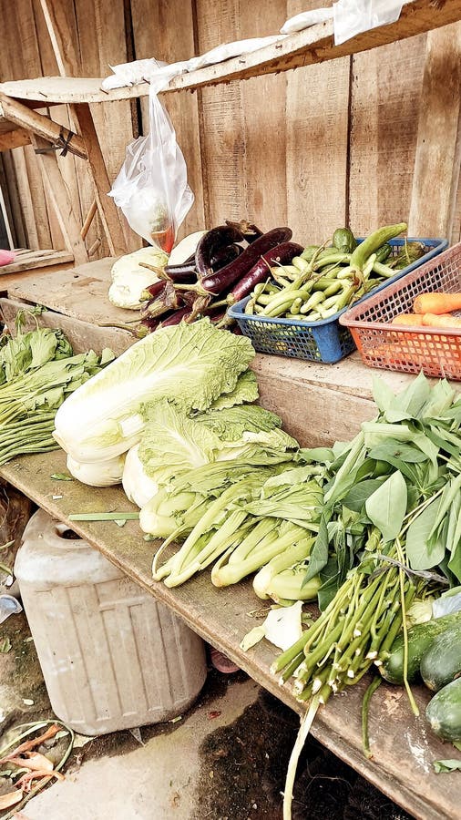 Vegetables that Have Many Benefits Stock Image - Image of fruit, dish ...