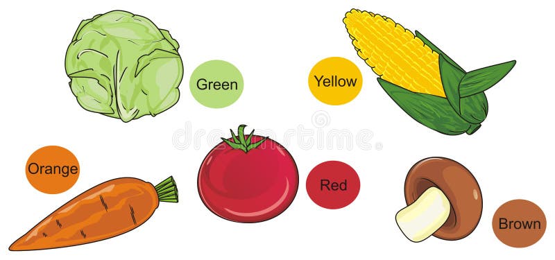 Different Colors Of Fruits And Vegetables Stock Vector - Illustration ...
