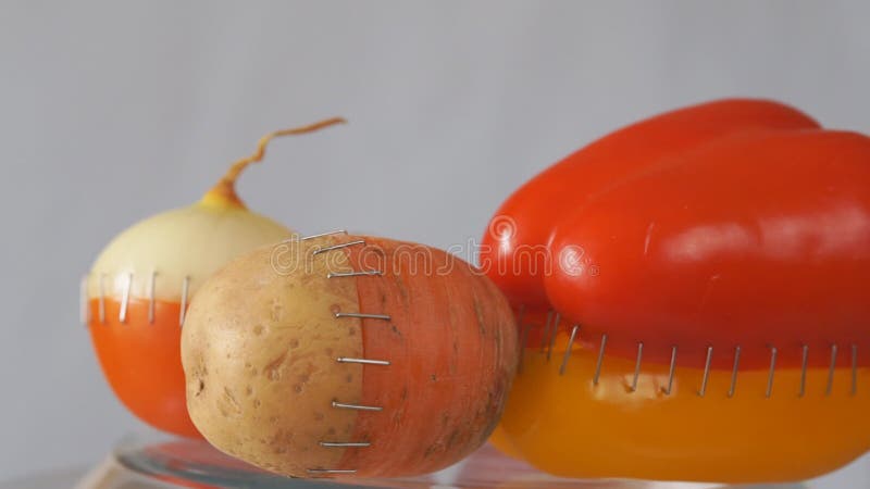 Vegetables Hybrids. Genetically Modified Vegetables Concept Stock Video ...