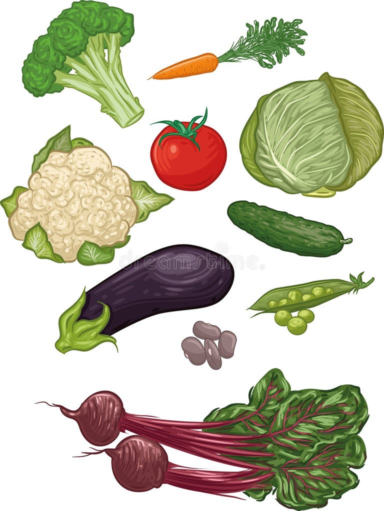 Autumn Vegetables Carrots Stock Illustrations – 7,636 Autumn Vegetables ...